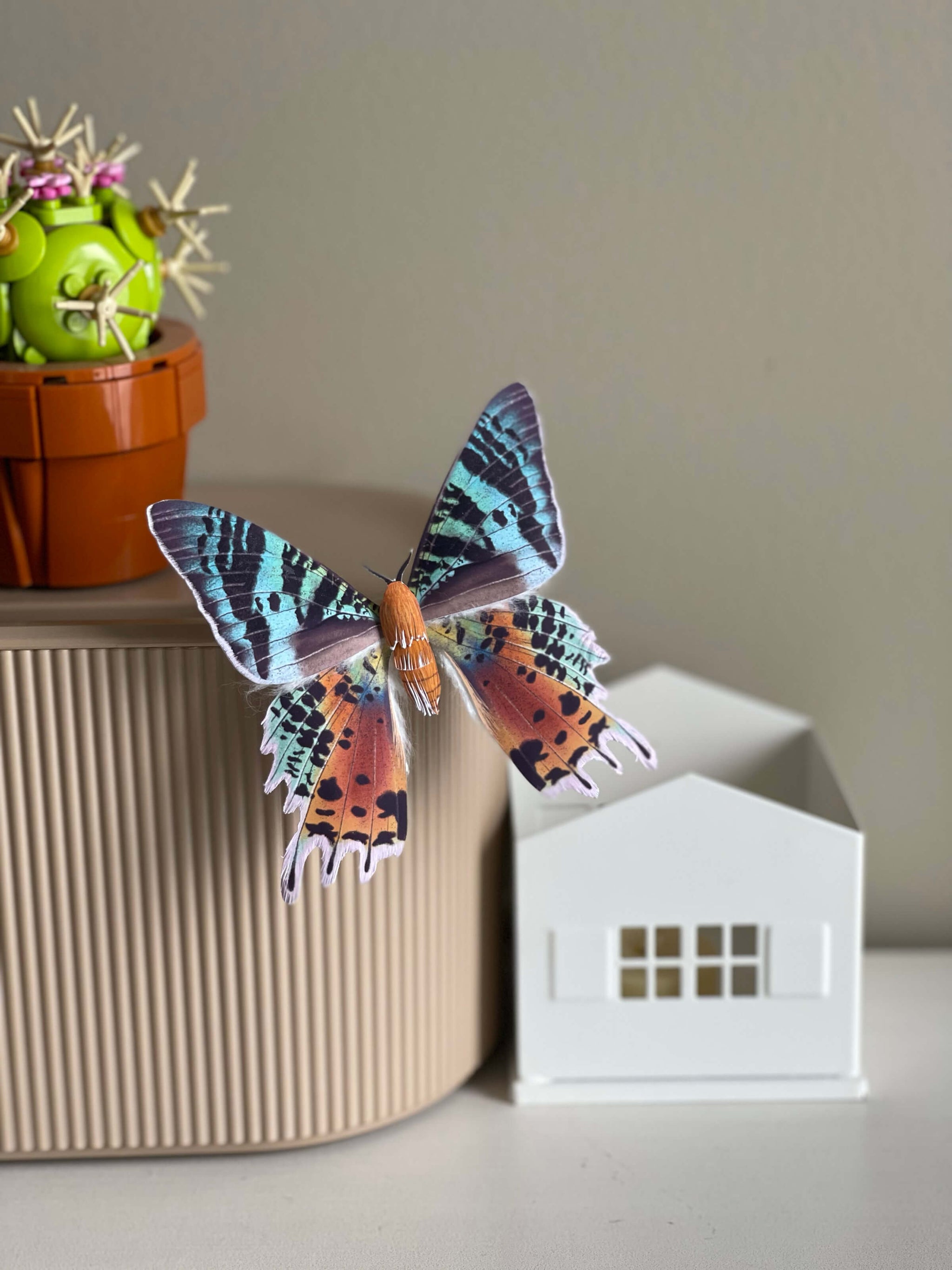 All Moth| ElkaYang – Elka Yang