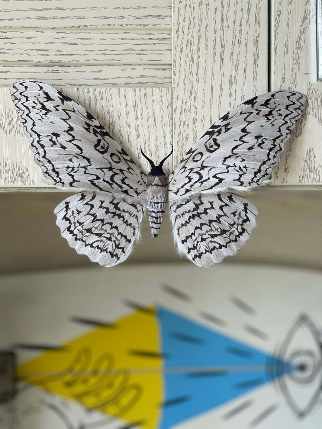 Paper Moth – Elka Yang