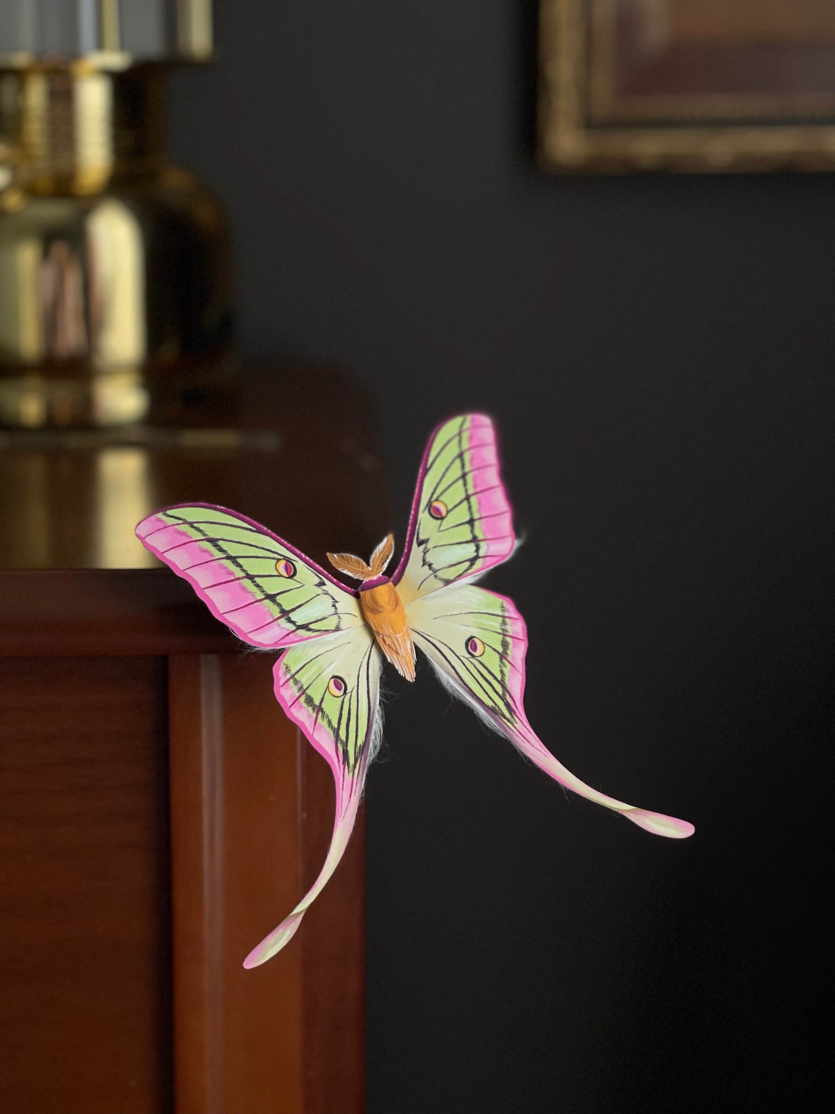 All Moth| ElkaYang – Elka Yang