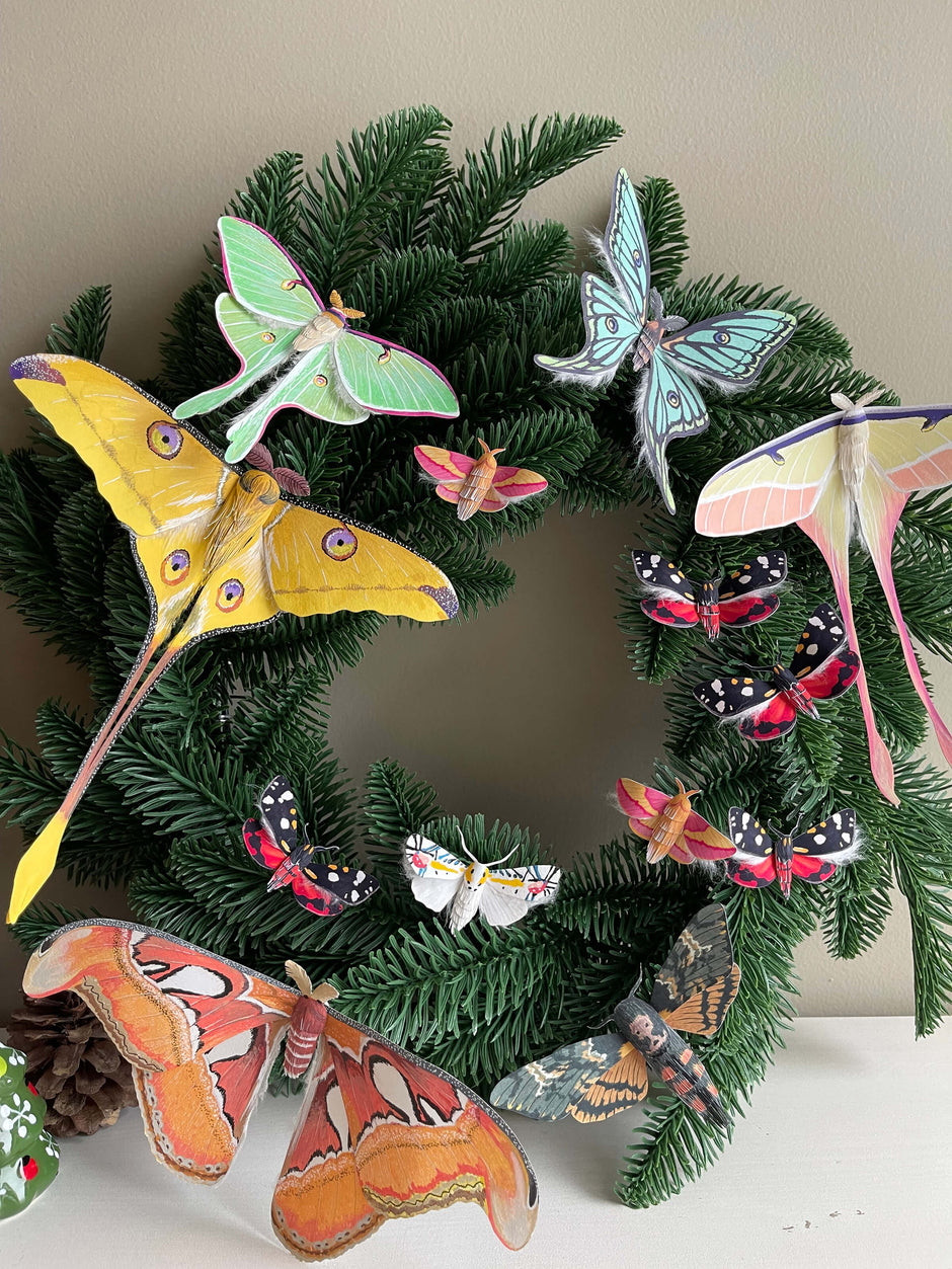 Paper Moth – Elka Yang
